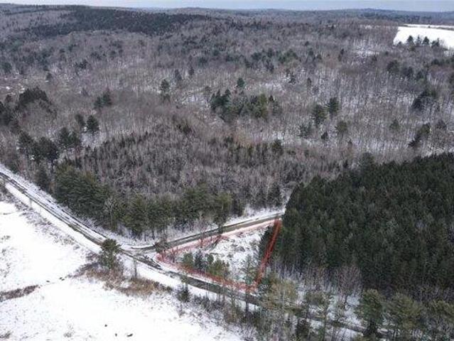 Whitney Point NY 13862 88553433
