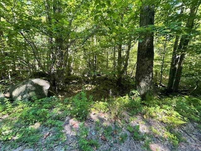 Whitney Rd Lot 132, Henniker, NH 03242