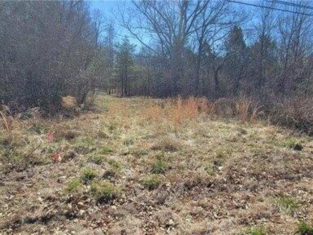 Whitsett NC 27377 103599836