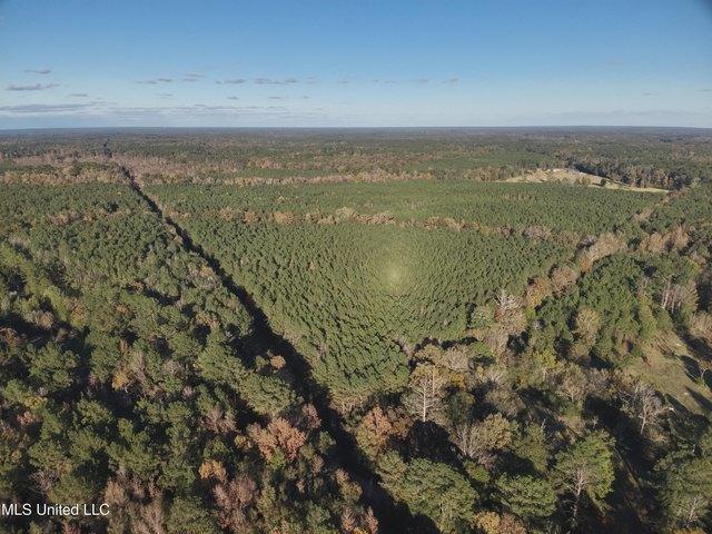 Whiddon Rd Lot 4, Canton, MS 39046
