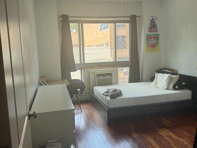 Whimsy Room in Spanish Harlem