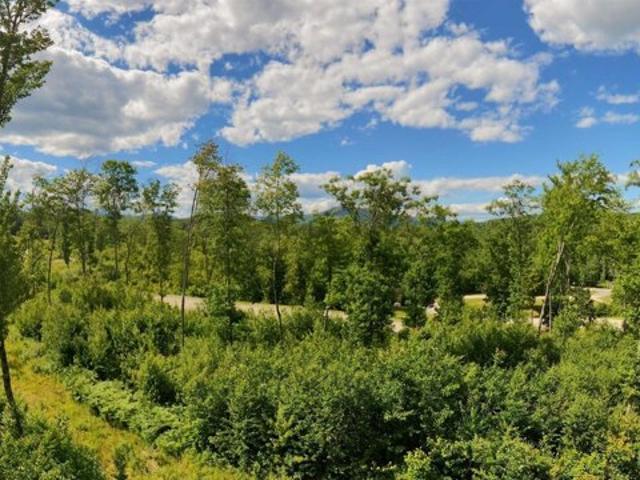 Whipples Way Lot,tamworth, Plot For Sale
