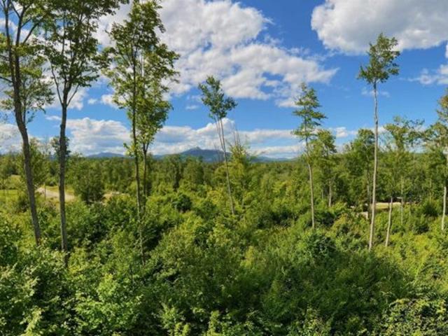 Whipples Way Lot,tamworth, Plot For Sale