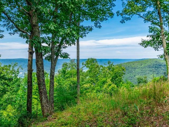 Whiskey Way Lot 384, Jasper, TN 37347
