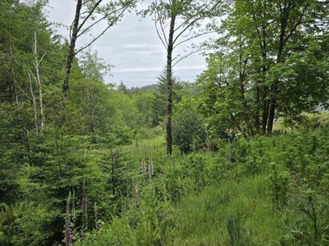 Whisper Ln, Brookings, OR 97415