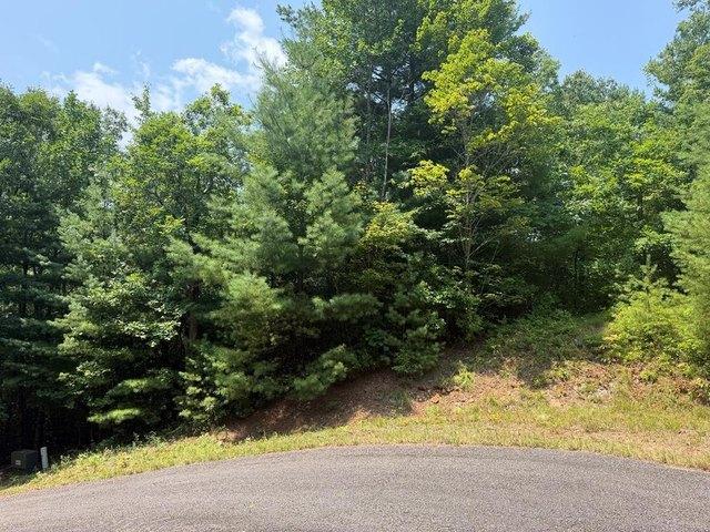 Whisper Ridge Ct, Hiawassee, GA 30546