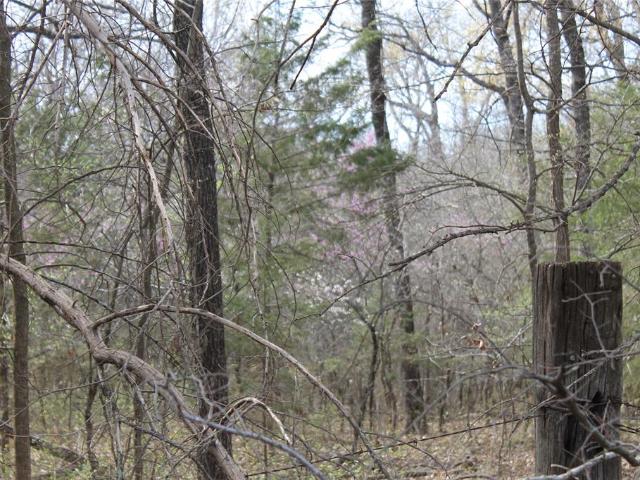 Whispering Oaks Road