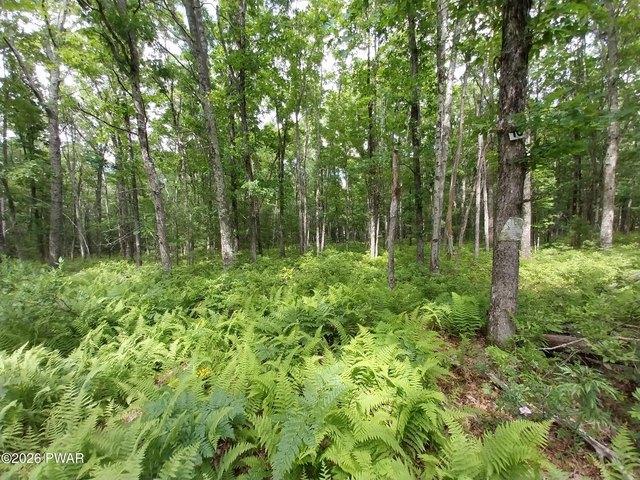 Whispering Oaks Rd Lot 10, Greeley, PA 18425
