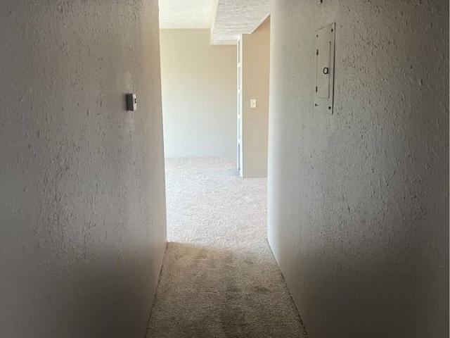 Whispering Isle Apartments 1 Bedroom Apartment for Rent at 12230 Anne St, Omaha, NE 68137 Old Millard East