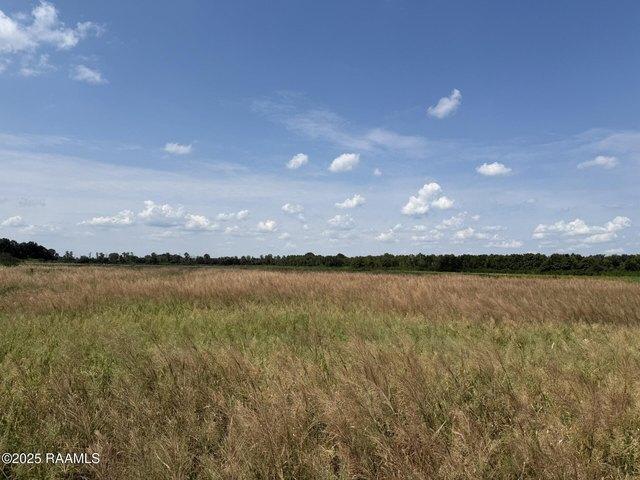 Whispering Pine Ln, Ville Platte, LA 70586