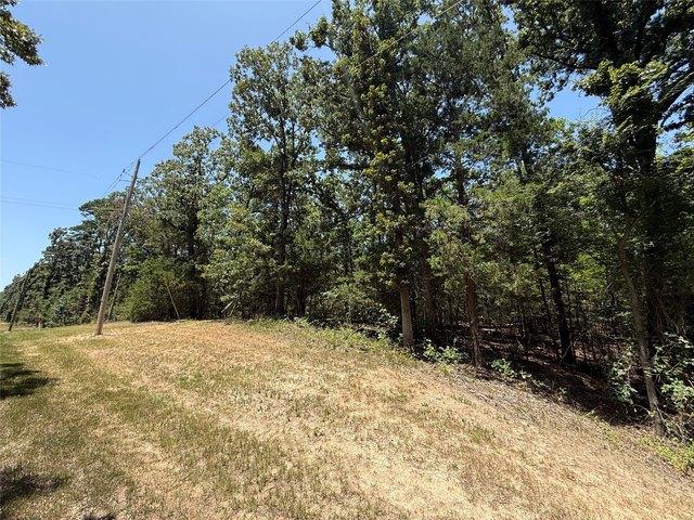 Whispering Pine Trl, Mount Vernon, TX 75457