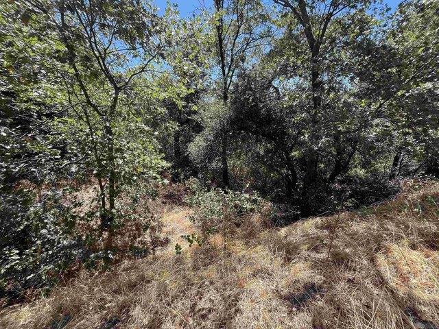 Whispering Pines Dr Unit 186, Julian, CA 92036