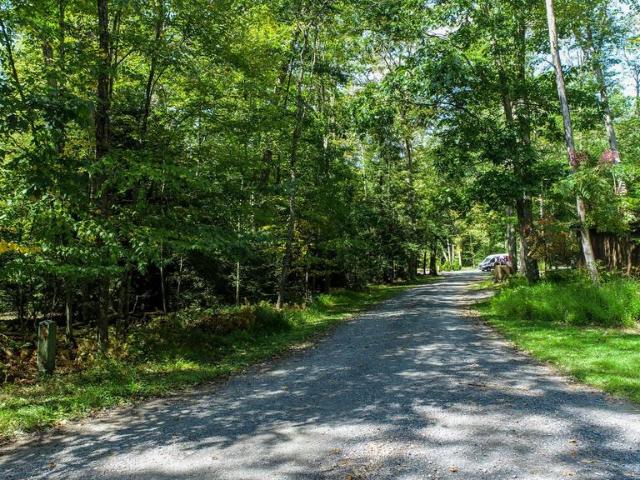 Whispering Pines Lane