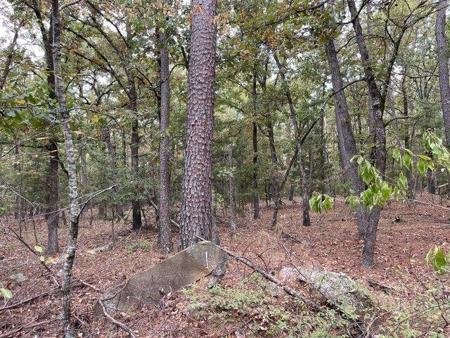 Whispering Pines Way Lot 61, Antlers, OK 74523