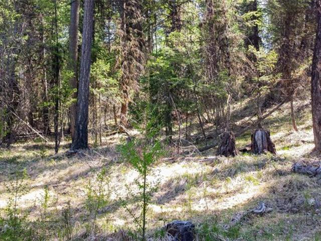 Whispering Pnes Lot 7, Fortine, MT 59918