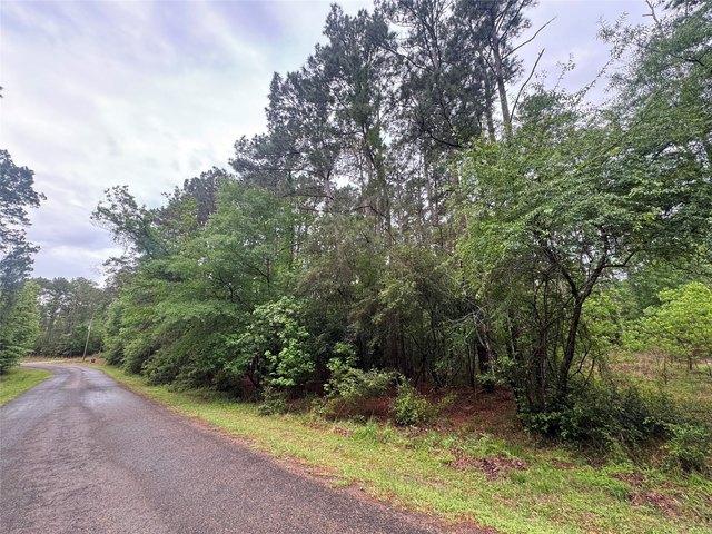 Whisperwood Dr, Onalaska, TX 77360