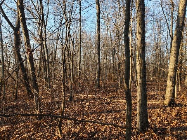 Whistle Pass Rd, Dodge, WI 54625