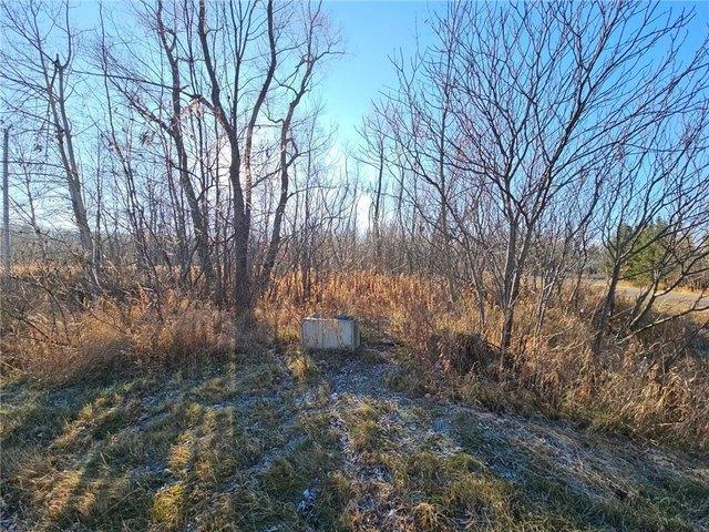 Whistle Road/Highway 47, Isle, MN 56342