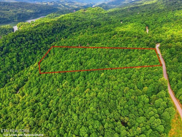 Whistle Valley Rd, New Tazewell, TN 37825
