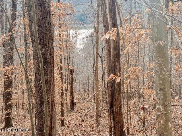 Whistle Valley Rd, New Tazewell, TN 37825
