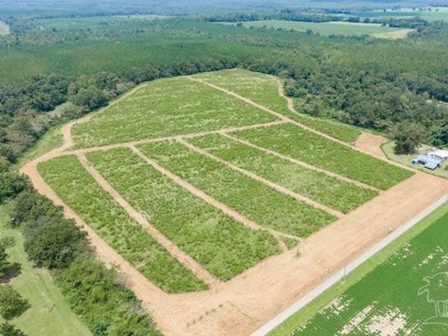 Whistler Ln Lot 4, Jay, FL 32565
