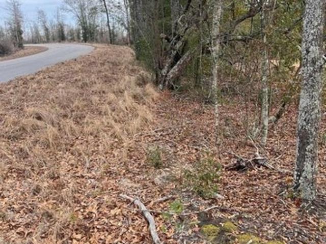 Whl 7 Rainbow Dr Lot 7, Salley, SC 29137