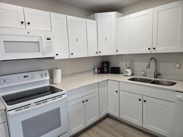 Winter Garden House with modern Kitchen. Walking d