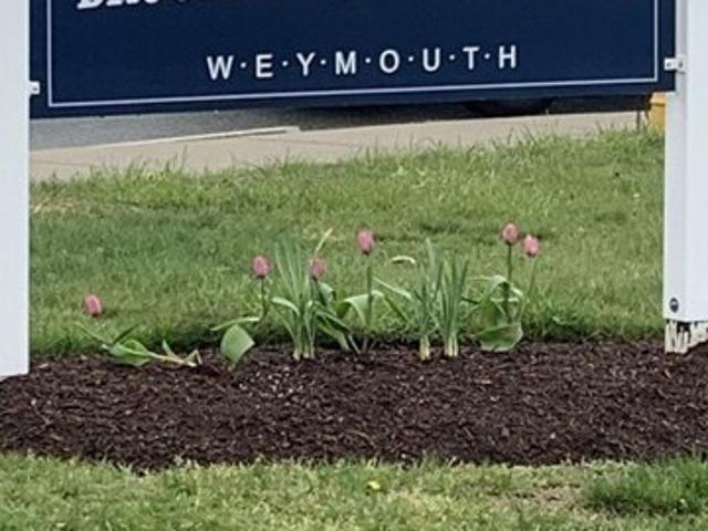 Winter St Apt L, Weymouth, Condo For Sale