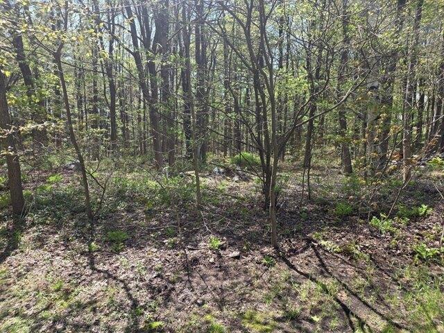 Winter St Lot,orange, Plot For Sale