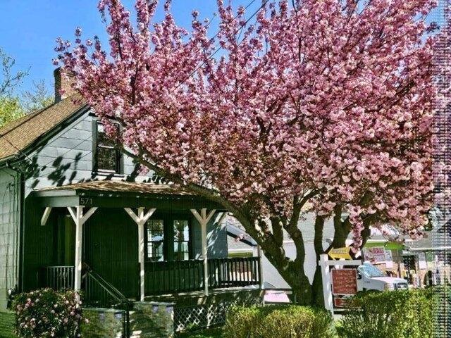 Winter St, Woonsocket, Home For Sale