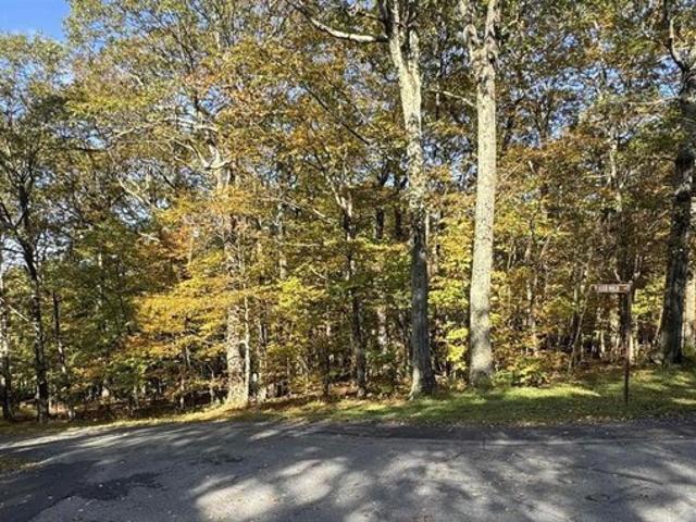 Winter Wren Ln Lot 20, Wintergreen Resort, VA 22967