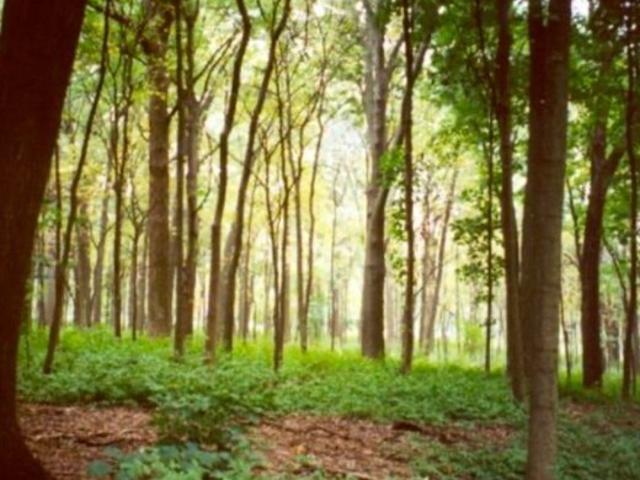 Winterberry Ln Lot,easton, Plot For Sale