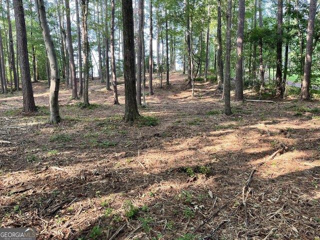 Winterberry Ln, Rome, GA 30161