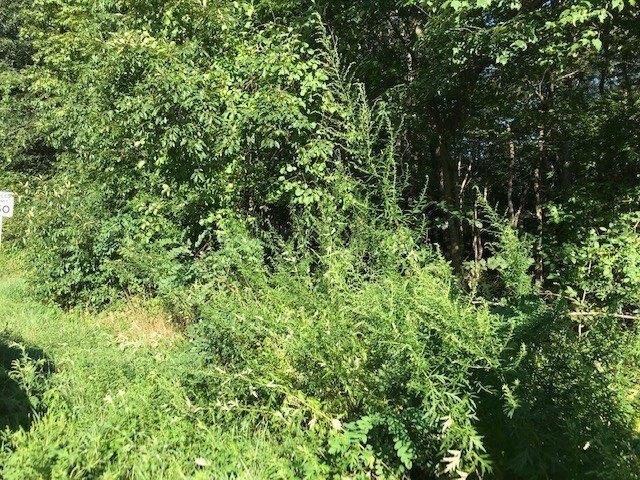 Winthrop St, Rehoboth, Plot For Sale