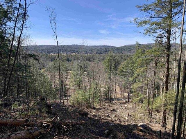 Winchester NH 03470 LS102728039