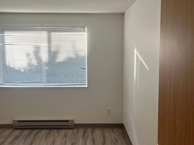 WINCHESTER APTS. 1 Bedroom Apartment for Rent at 11749 Greenwood Ave N, Seattle, WA 98133 Broadview