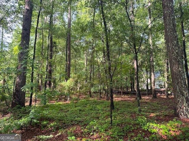 Winchester Way Lot 7, Sandersville, GA 31082