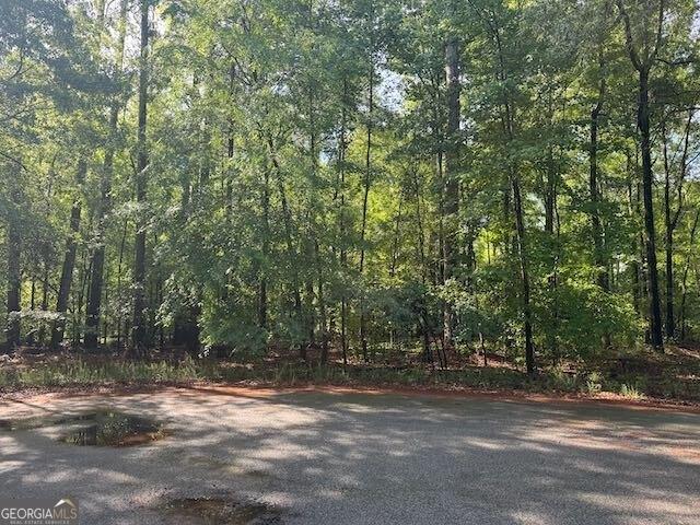 Winchester Way Lot 8, Sandersville, GA 31082