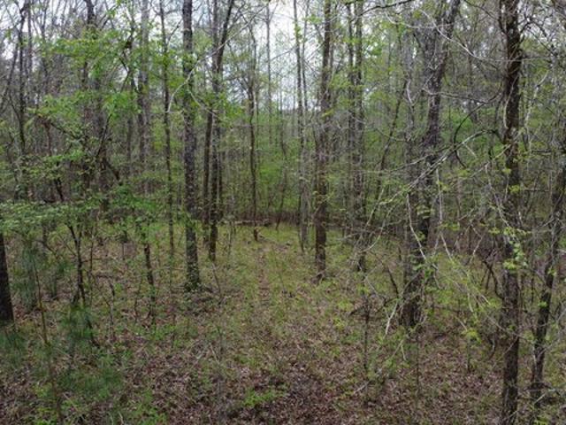 Wind Row Ln, Bremen, AL 35033