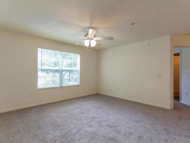Windermere Apartments 1 Bedroom Apartment for Rent at 9474 Windermere Lake Dr, Riverview, FL 33578