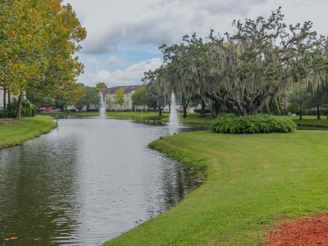 Windermere Apartments 1 Bedroom Apartment for Rent at 9474 Windermere Lake Dr, Riverview, FL 33578
