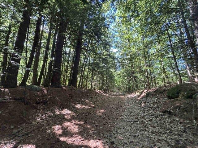 Windfall Rd, Northfield, Plot For Sale