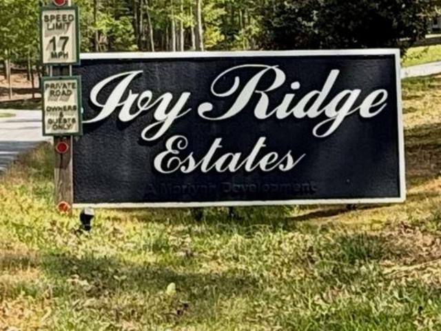 Windfield Cir Units 35 & 36, Blue Ridge, GA 30513