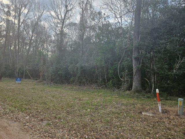 Winding Creek Dr, Shepherd, TX 77371