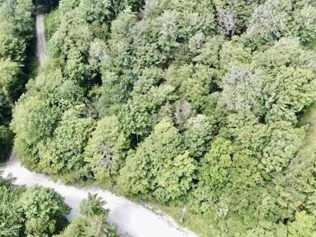 Winding Way Lot, Killington, Plot For Sale