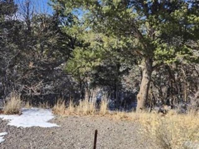 Windom Ln, Montrose, CO 81401