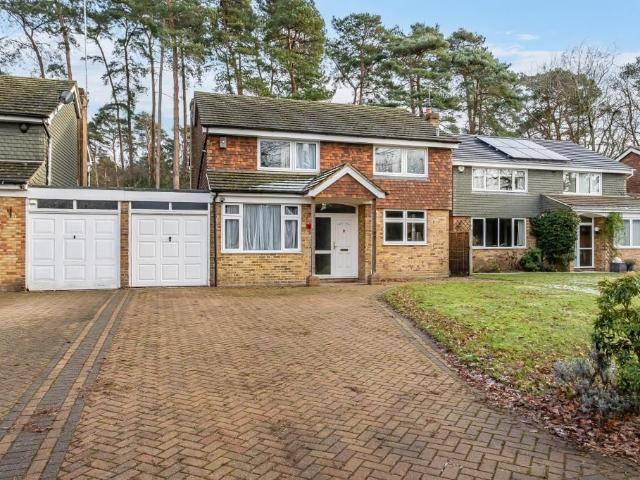 Windlesham, Surrey GU20, 4 bed detached house to rent, £3,000 pcm | PrimeLocation