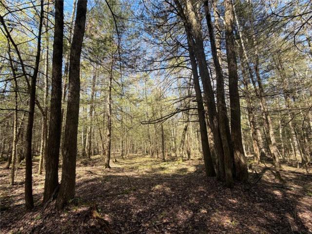 Windsor NY 13865 102366591