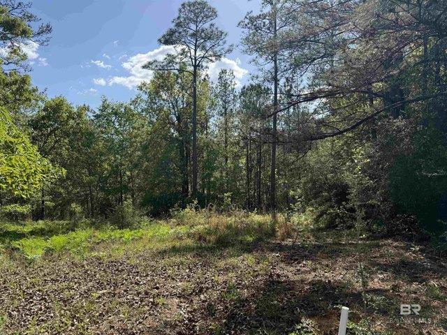 Windsor Ct Lot 20, Brewton, AL 36426