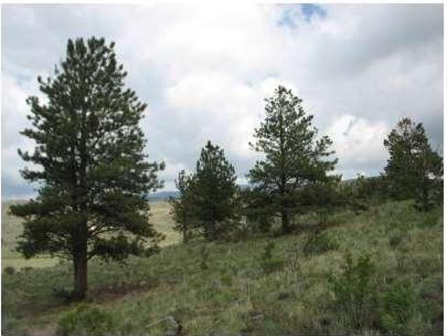 Windsor, CO Custer Country Land 35.81 acre for sale in Horn Creek, Colorado